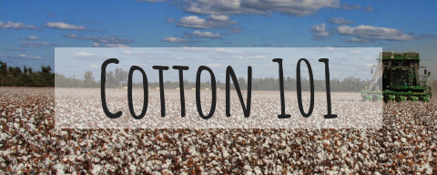 How is cotton picked nowadays? - Hundred Percent Cotton