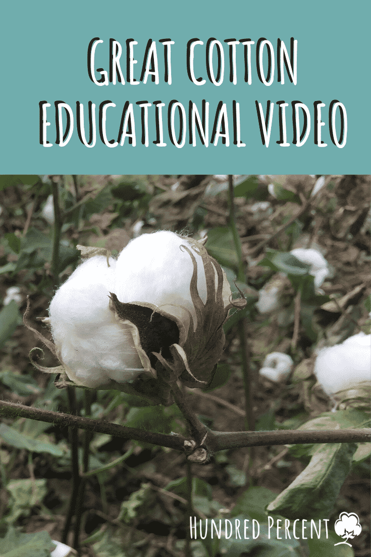 Great Cotton Educational Video - Hundred Percent Cotton