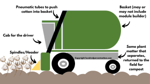 Cotton Pickers: How Do They Work - Hundred Percent Cotton